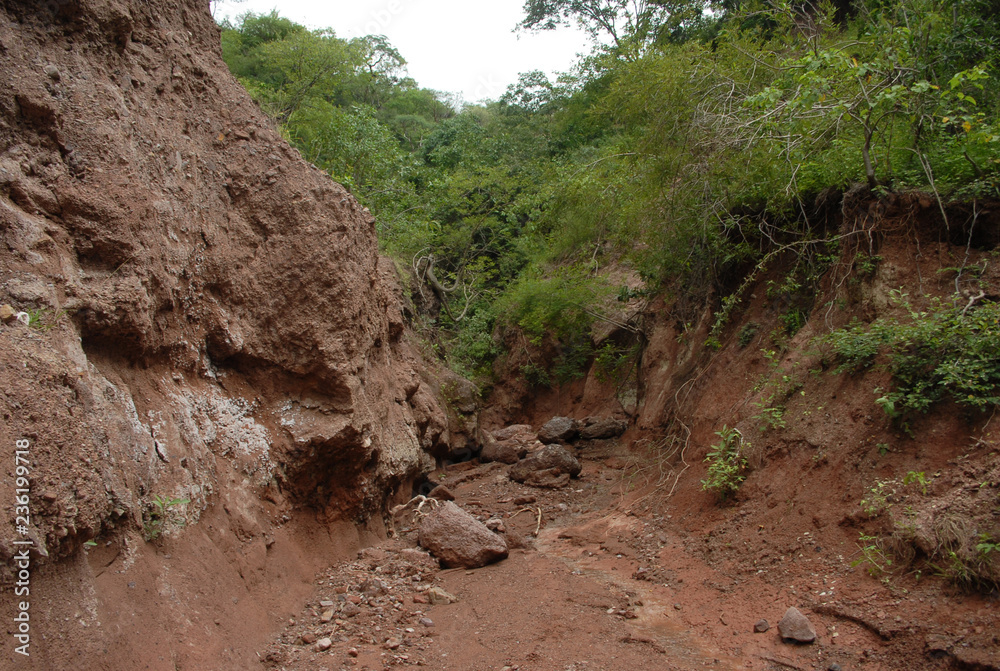 barrancos Stock Photo | Adobe Stock