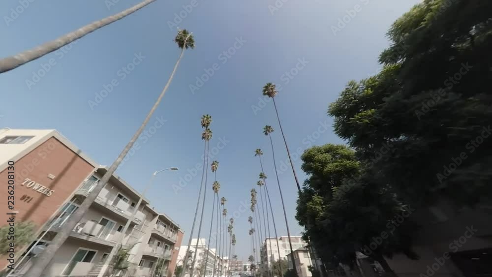Palm Trees & Apartments, Tilt Up. Car shot, angle tilting up to look at ...