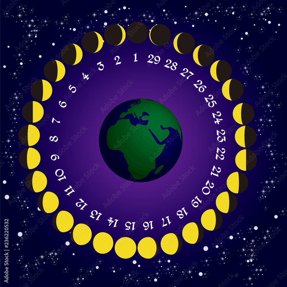 phase of the moon29; lunar phase, lunar calendar /cs2 Stock Vector ...