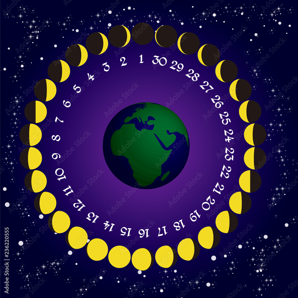 phase of the moon30; lunar phase, lunar calendar /cs2 Stock Vector ...