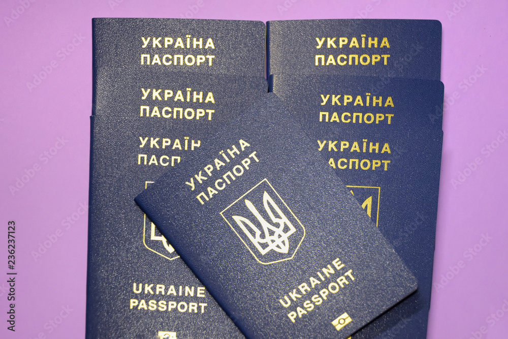 Ukraine passports with golden letters and trident emblem on violet ...