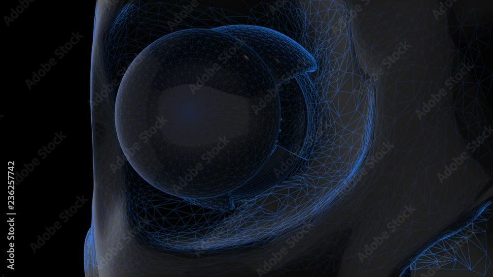 Eye structure rotation with digital crosslinking-Anatomy of the eye. 3D ...