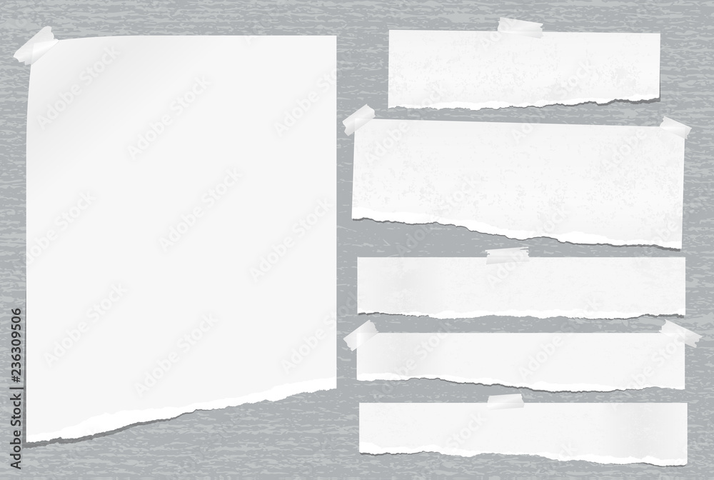 Torn Notebook Page Background