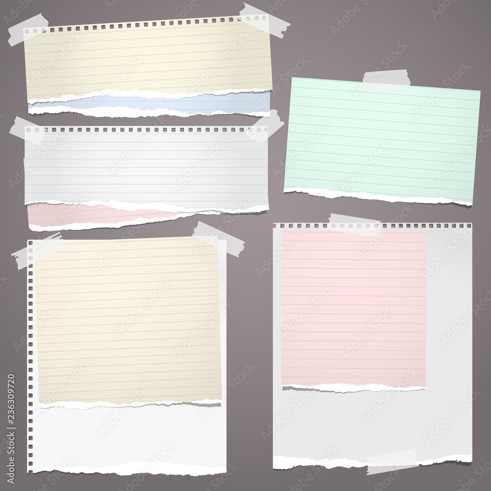 Torn Lined Paper Background