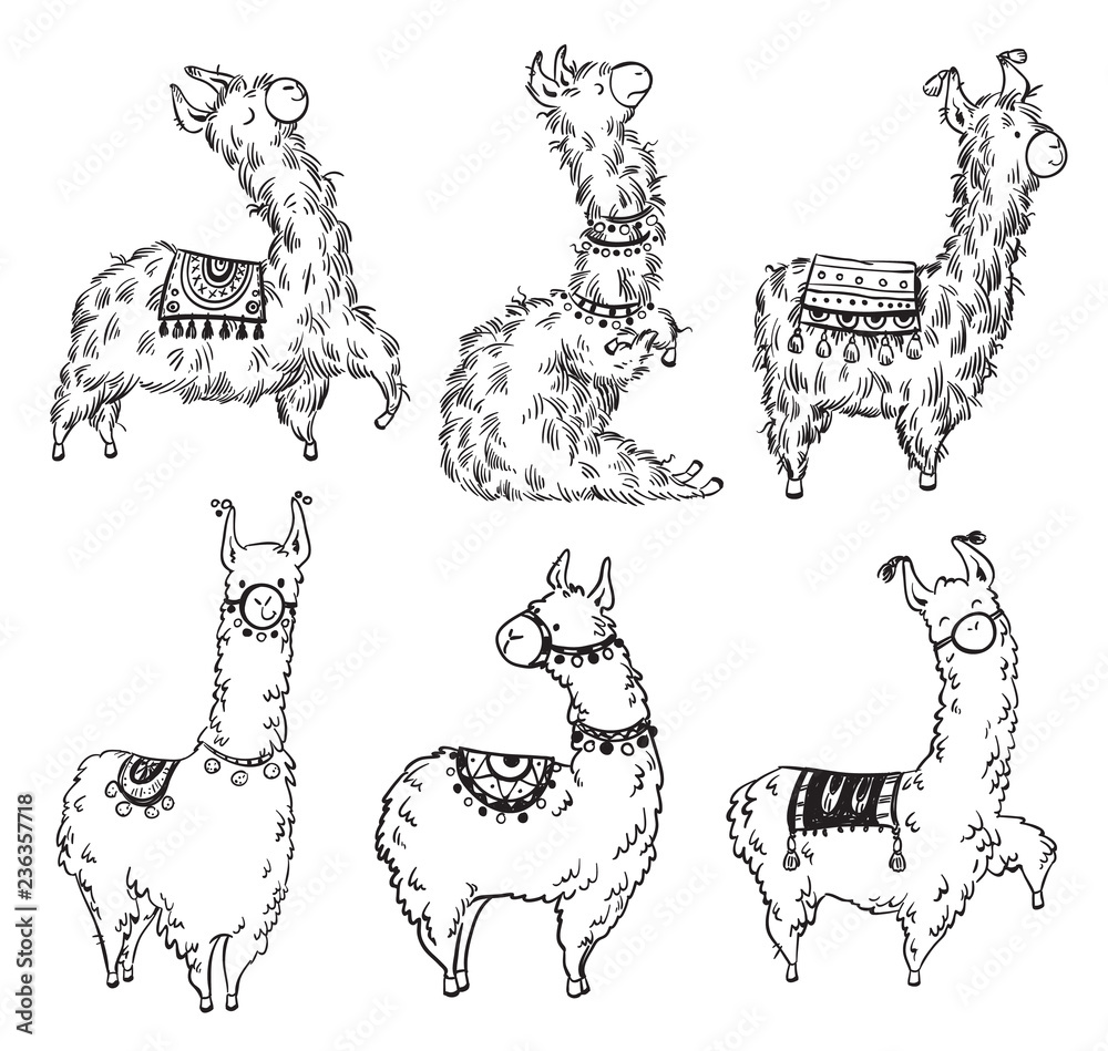 Set of six pretty hand drawn lamas, vector illustration Stock Vector ...