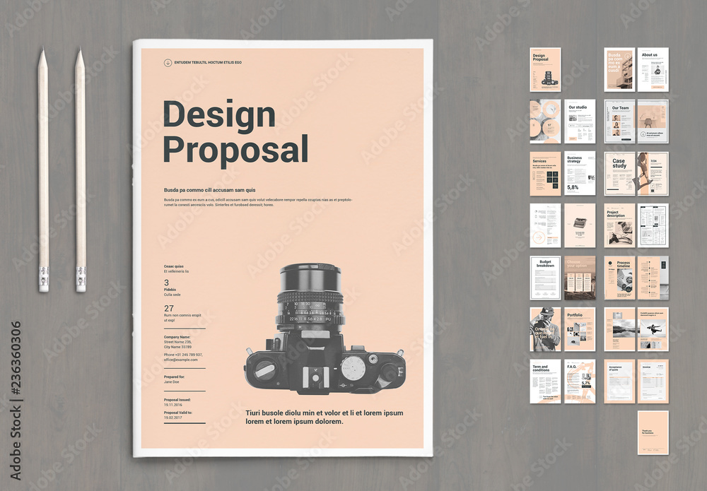 Design Proposal Layout with Pale Pink Elements Stock Template | Adobe Stock
