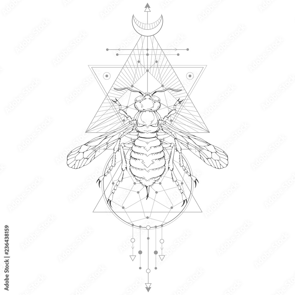 Vector illustration with hand drawn wasp and Sacred geometric symbol on ...