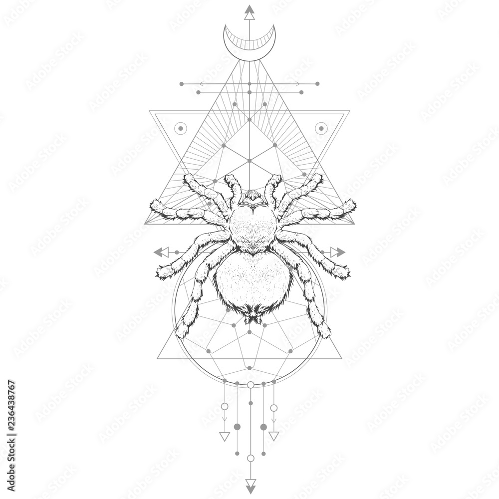 Vector illustration with hand drawn spider tarantula and Sacred ...