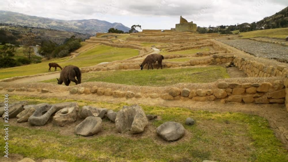 Ca√±ari walls at Ingapirca ruins archeological site, Ca√±ar Province ...
