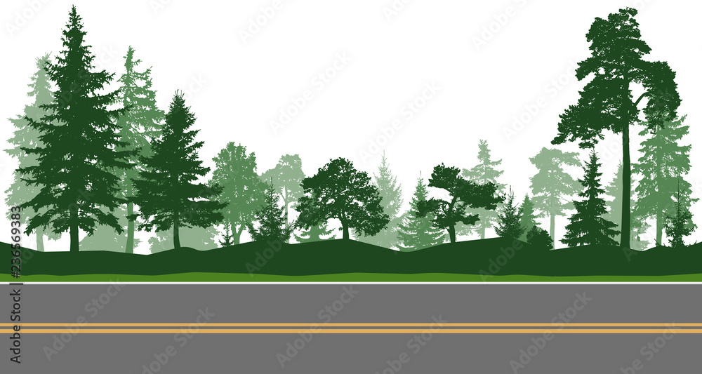 Forest trees, horizontal road. Vector illustration Stock Vector | Adobe ...