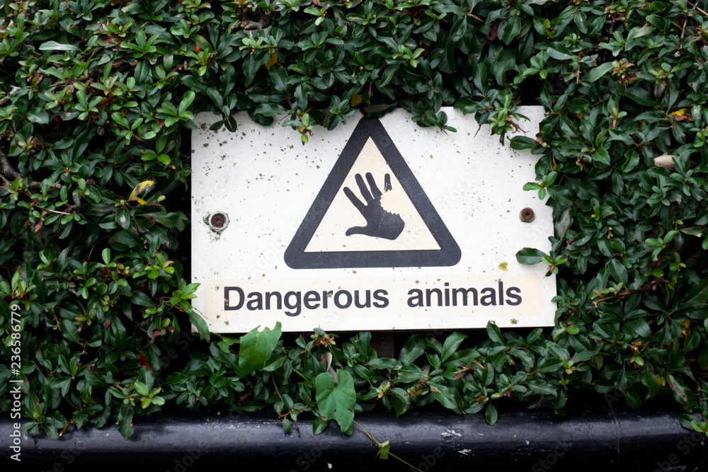 Dangerous Animals Sign