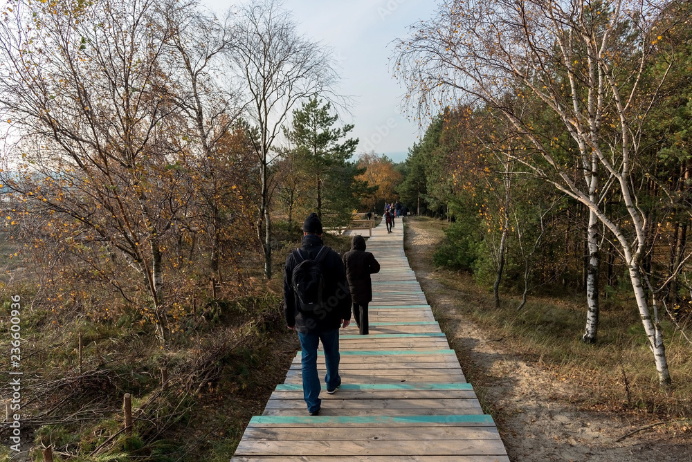 Tourists walk along an ecological wooden path in the Curonian Spit ...