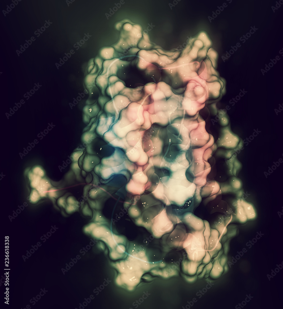 Interferon alpha 2a (IFNA2) molecule. Pegylated analogs of this ...