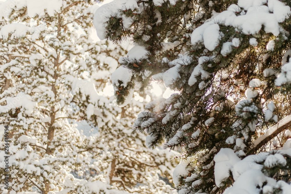 Beautiful Calm and Peaceful Frozen Cold Winter Season Snow in ...