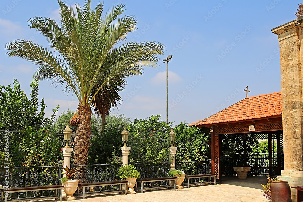 Palm and arbor on the yard of the Cana Greek Orthodox Wedding Church in ...