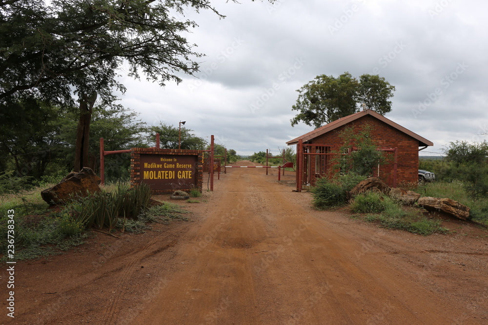 Molatedi Gate zum Madikwe Game Reserve in Südafrika Stock Photo | Adobe ...