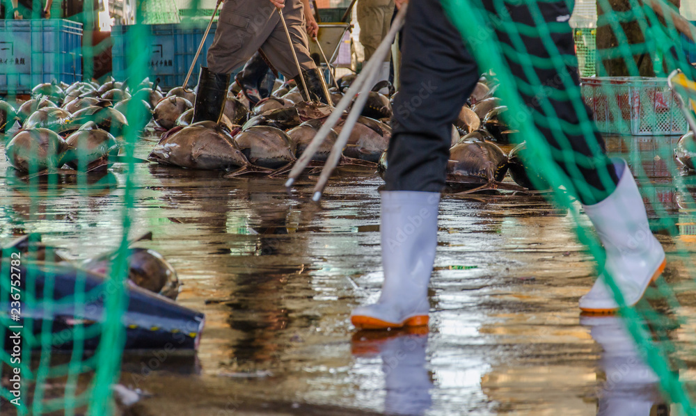 View between green fish net on traditional japanese fish market ...