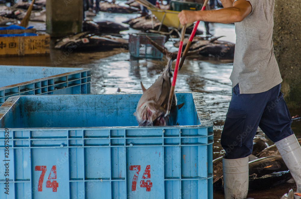 Tuna fish being thrown in large blue box on traditional fish market in ...