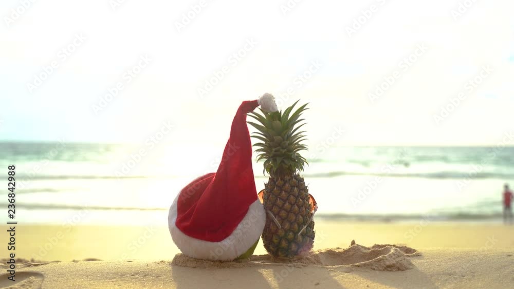 Coconut Holiday with glasses and Santa Claus hat and pineapple,Concept ...