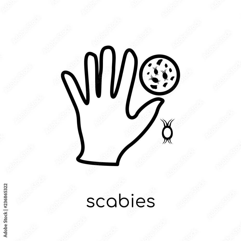 Scabies icon. Trendy modern flat linear vector Scabies icon on white ...