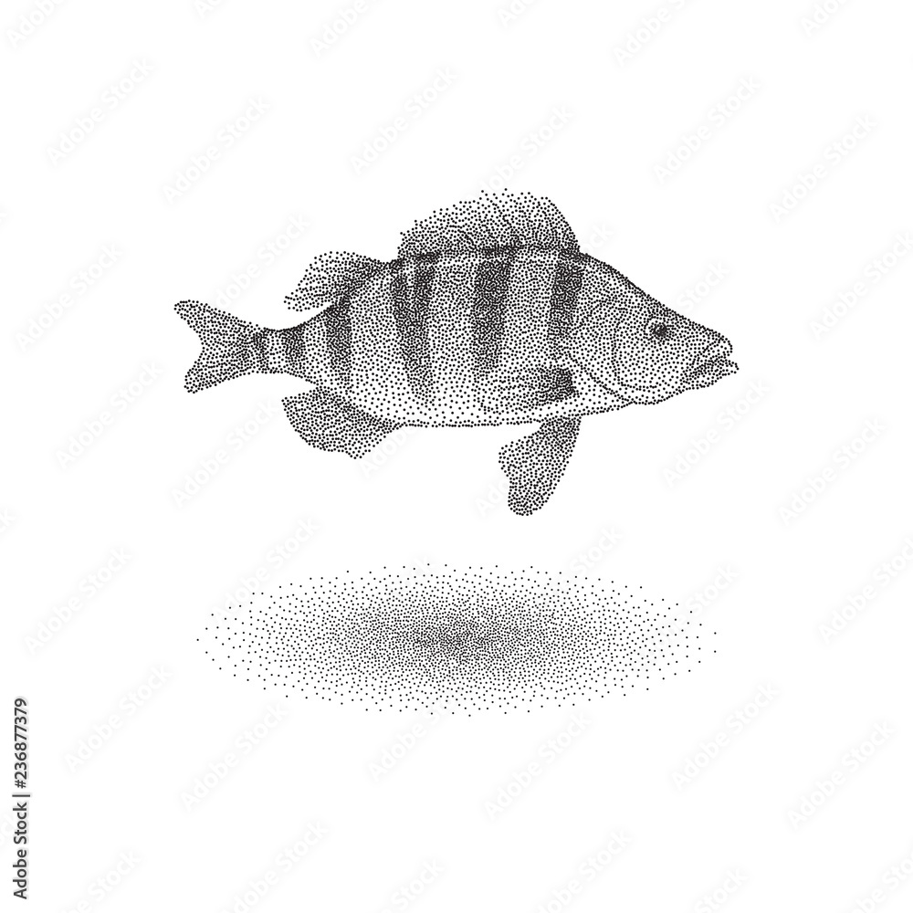 Redfin fish with stipple effect in black and white Stock Vector | Adobe ...