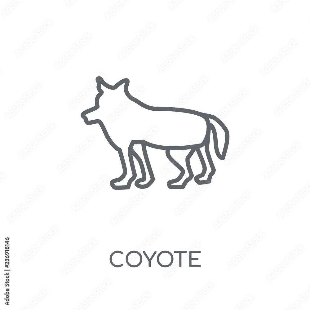 Coyote linear icon. Modern outline Coyote logo concept on white ...