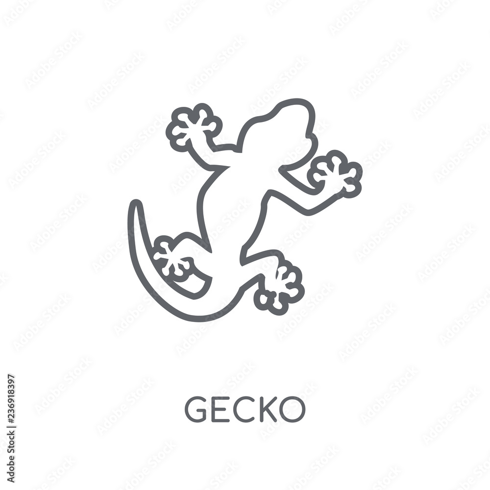 Gecko linear icon. Modern outline Gecko logo concept on white ...