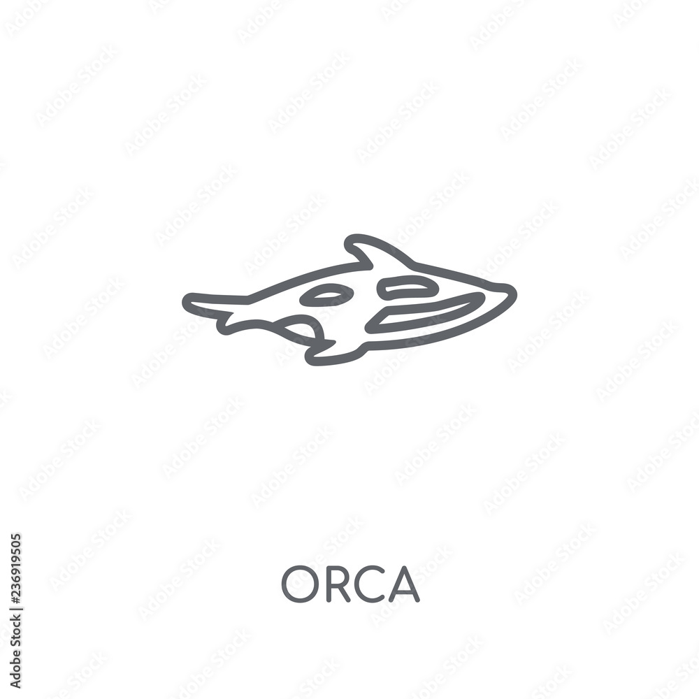 Orca linear icon. Modern outline Orca logo concept on white background ...