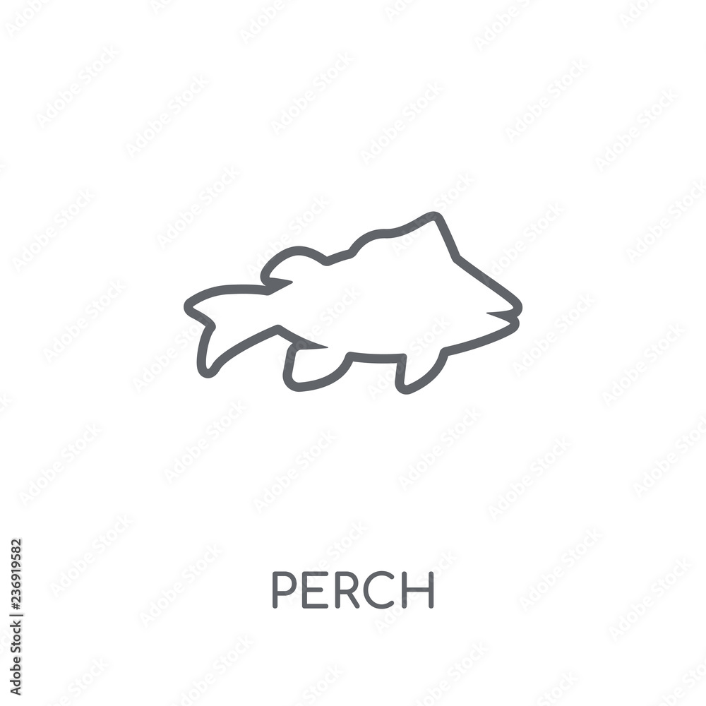 Perch linear icon. Modern outline Perch logo concept on white ...