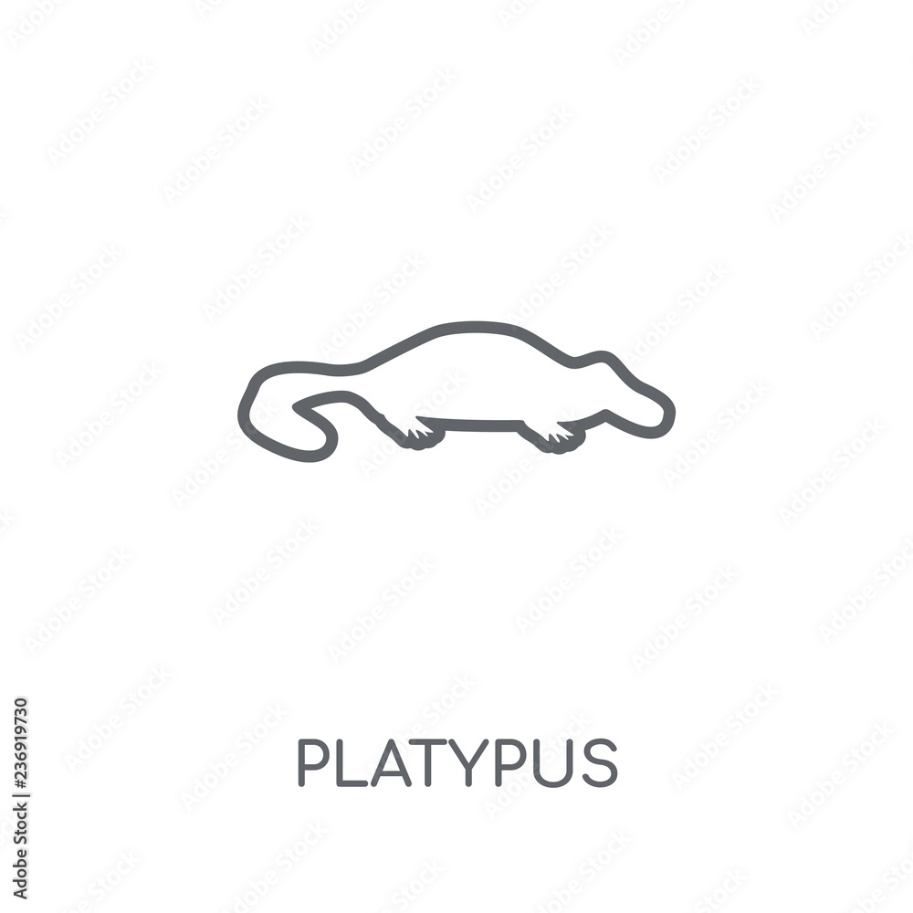 Platypus linear icon. Modern outline Platypus logo concept on white ...