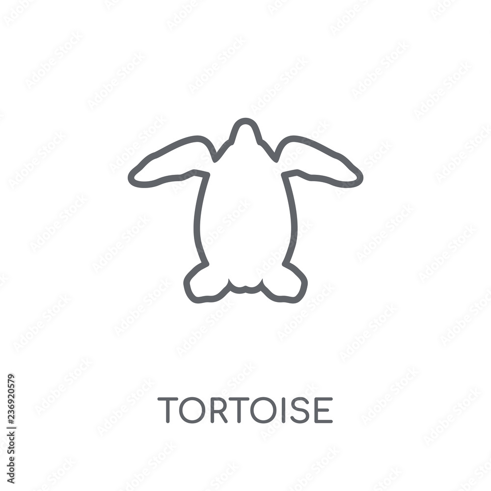 Tortoise linear icon. Modern outline Tortoise logo concept on white ...