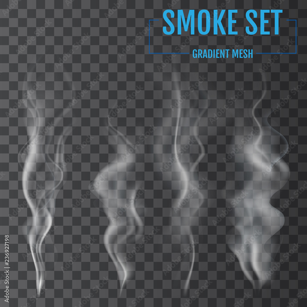 Delicate white cigarette smoke waves on transparent background. Vector ...