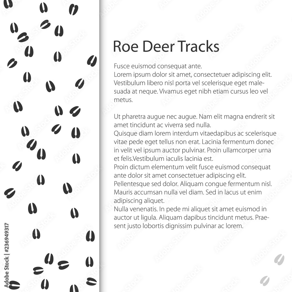 Cover Design with Traces of Forest Animal, Trace of a Roe Deer Animal ...