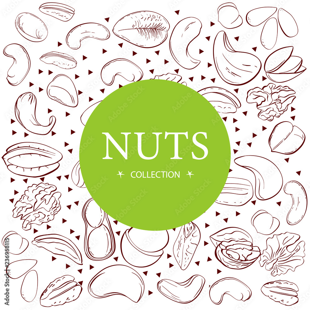 Nuts collection drawings. Sketches. Hand-drawing. Vector illustration ...