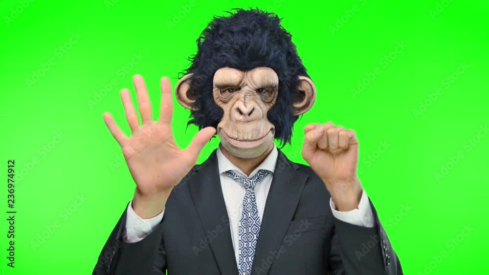 Monkey man on green screen chroma key background Stock Video | Adobe Stock