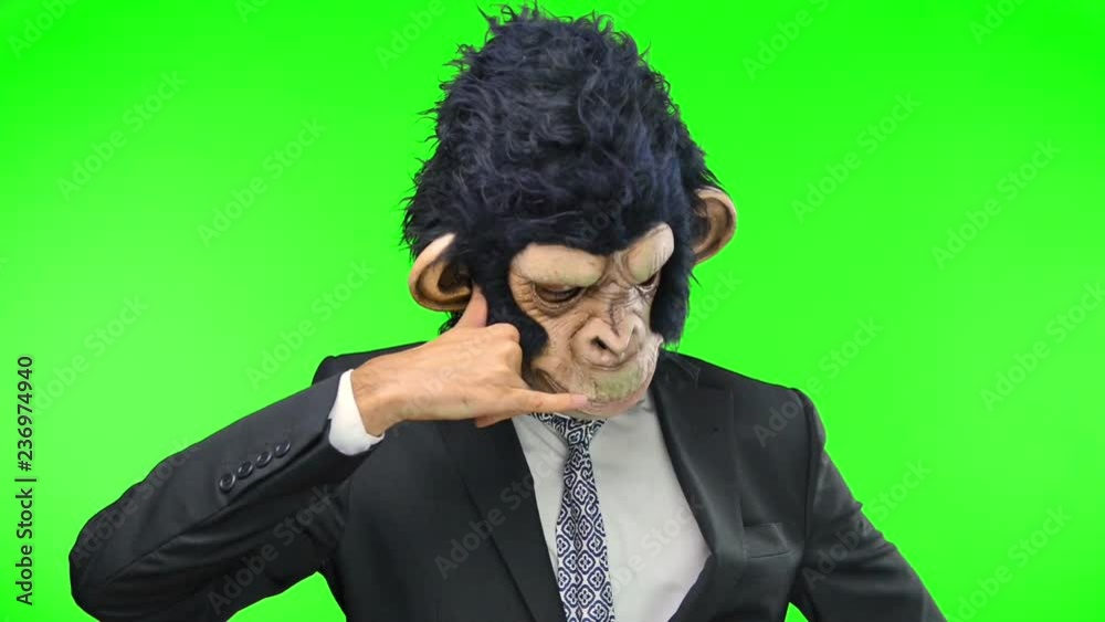 Monkey man on green screen chroma key background Stock Video | Adobe Stock