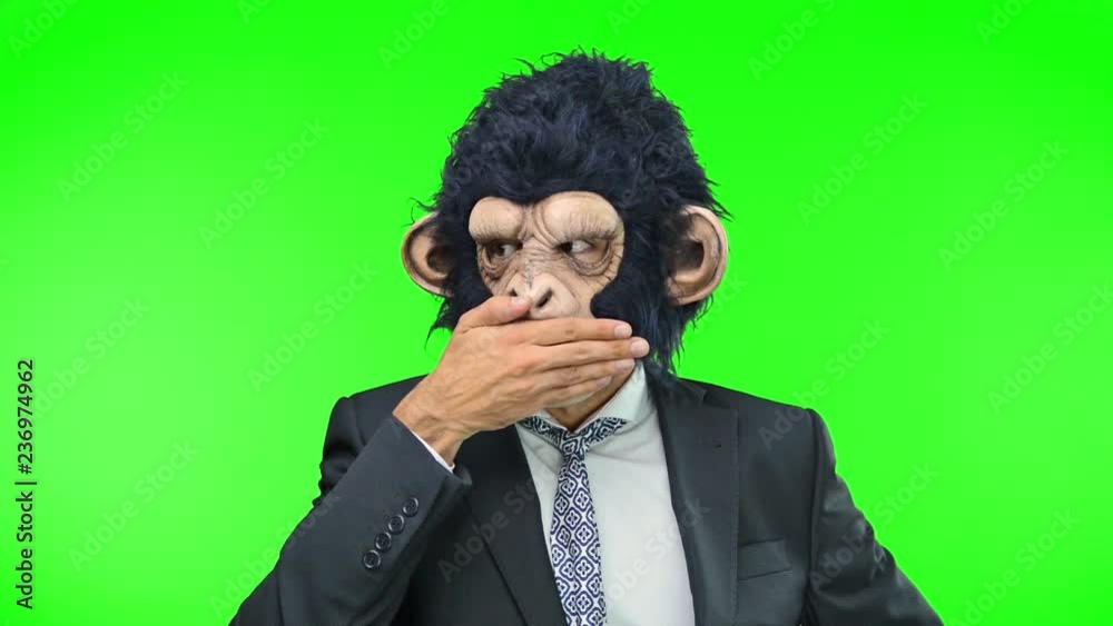 Monkey man on green screen chroma key background Stock Video | Adobe Stock