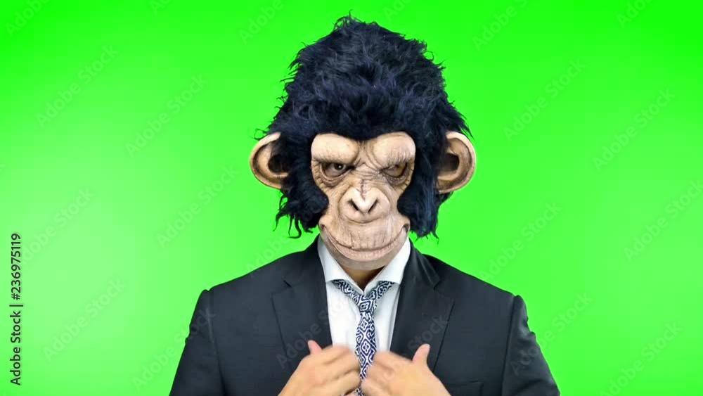Monkey man on green screen chroma key background Stock-Video | Adobe Stock
