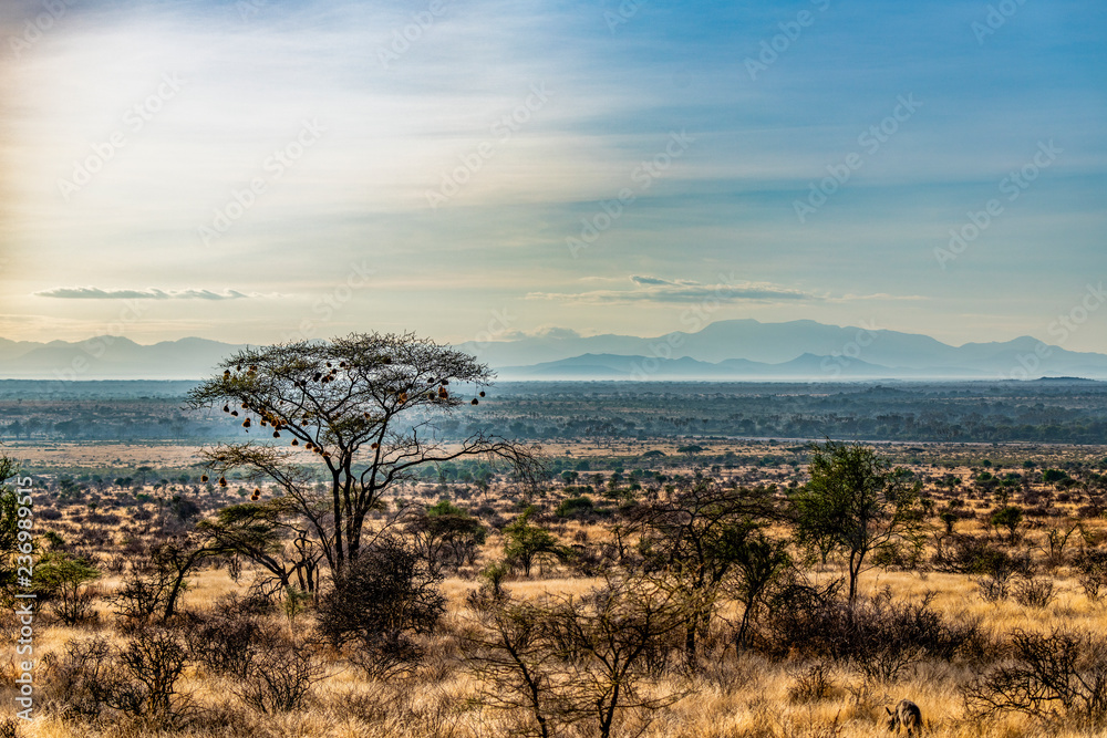 Foto de Early morning landscape, Samburu National Reserve, Great Rift ...