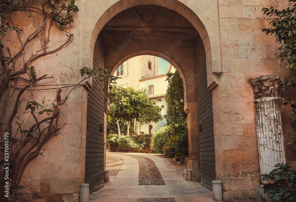 Traditional stone arch in courtyard with plansts of old houses in ...