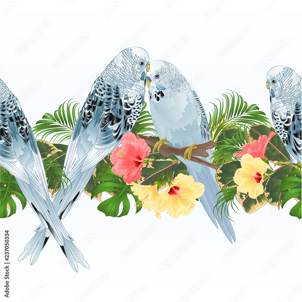 Tropical border seamless background blue pet parakeets Budgerigars and ...
