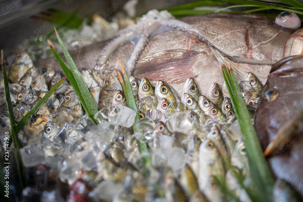 Lobster, octopus, red mullet, boops boops, sea bass, sea bream, white ...