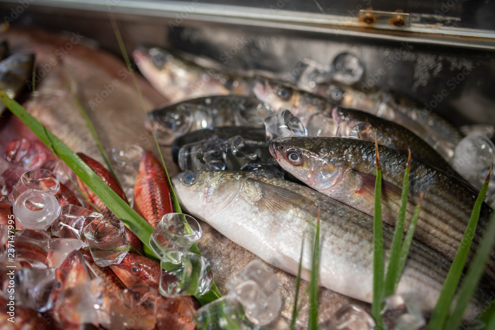 Lobster, octopus, red mullet, boops boops, sea bass, sea bream, white ...