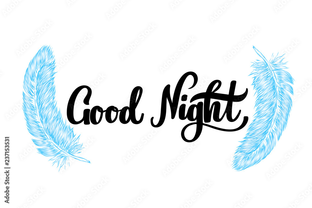 Vector hand drawn lettering Good Night and line art style feather for ...