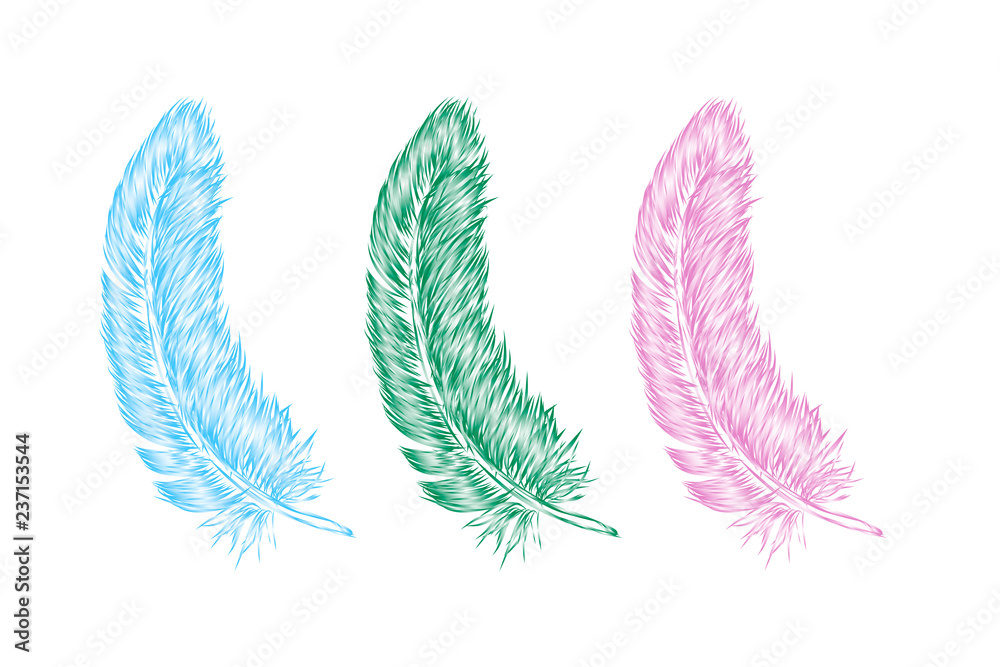 Vector hand drawn line art style feather for poster, banner, logo, icon ...