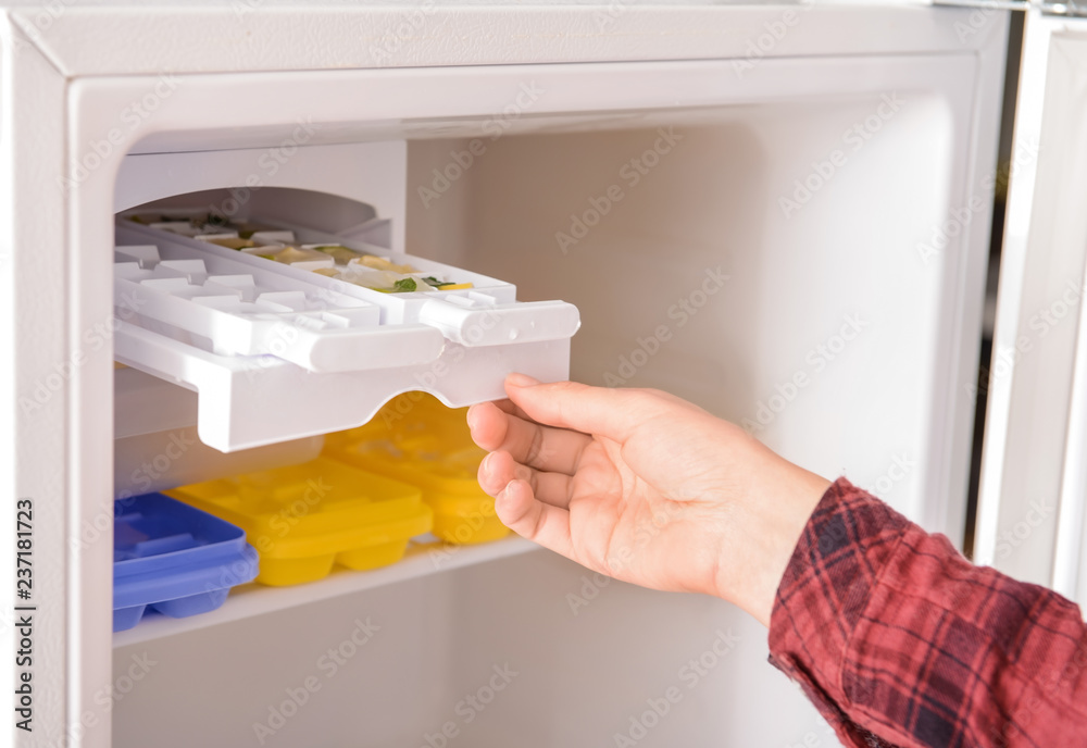 Woman putting tray with citrus fruits frozen in ice cubes into ...