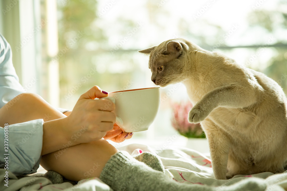 Woman sitting at home a bed by the window with cup of hot coffee ...