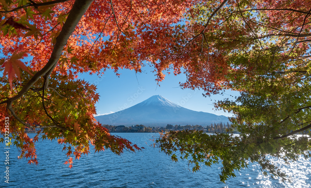 asia,autumn,autumn fuji,autumn japan,autumn tokyo,background,beautiful ...