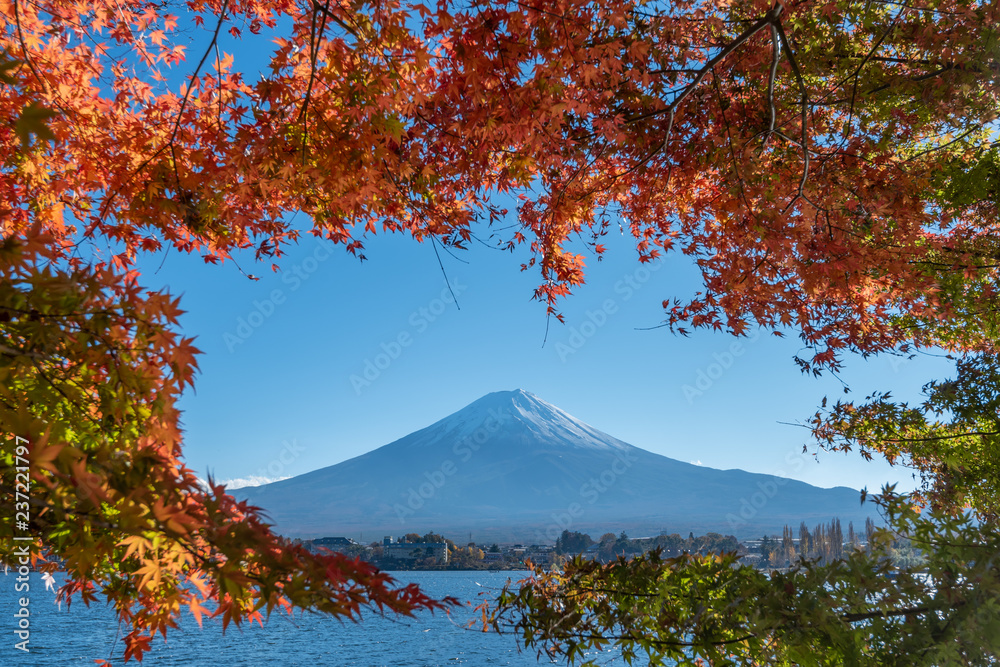asia,autumn,autumn fuji,autumn japan,autumn tokyo,background,beautiful ...