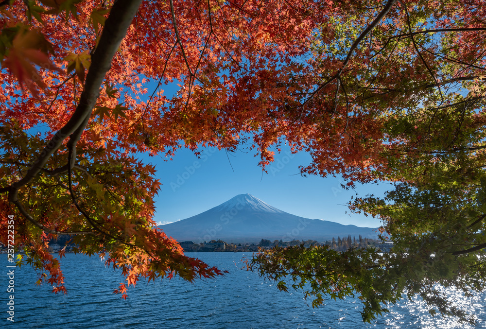 asia,autumn,autumn fuji,autumn japan,autumn tokyo,background,beautiful ...